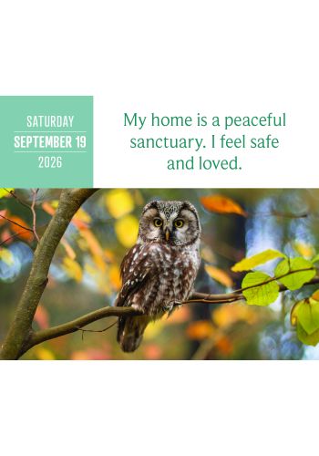 I Can Do It® 2026 Calendar