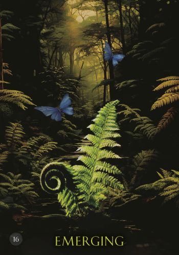 Soul Coaching Oracle Cards