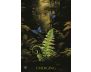 Soul Coaching Oracle Cards