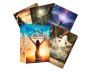 Soul Coaching Oracle Cards